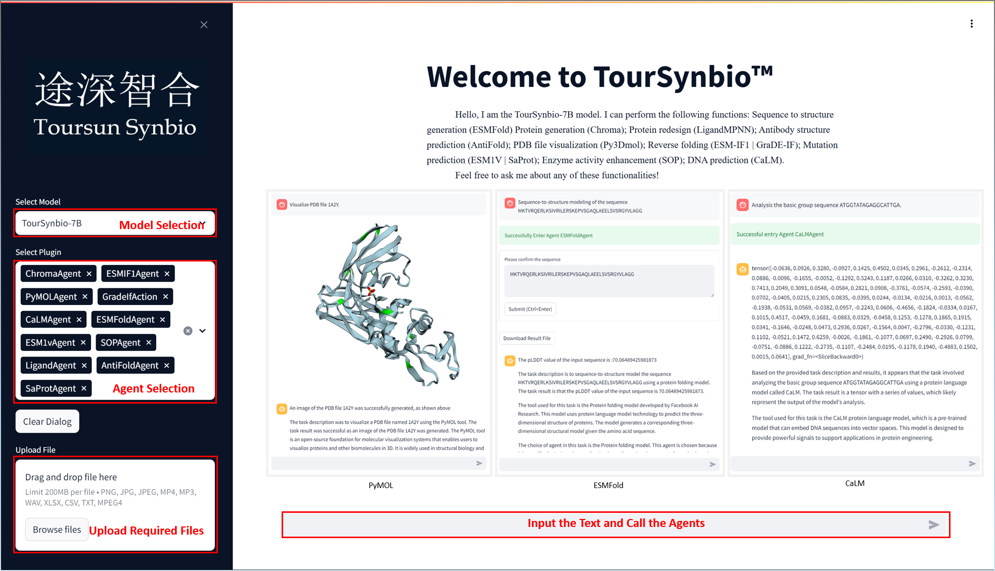 TourSynbio: A Multi-Modal Large Model and Agent Framework to Bridge Text and Protein Sequences ...